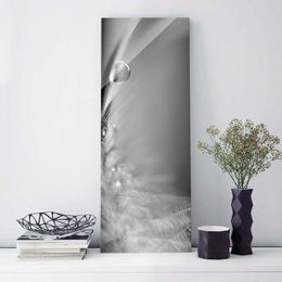 MICASIA Glasbild - Story of a Waterdrop Black White - Panorama Hoch Größe HxB: 80cm x 30cm