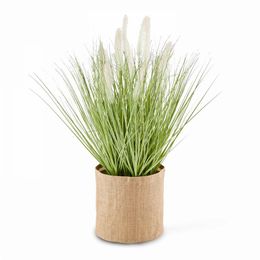 Kunstpflanze Wildgras Penninsetum, Höhe: 75 cm, Oà¯ko Grün - Grün