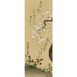 Close Up Cherry Blossom Kunstdruck Ogata Kenzan Papier 250 gr. matt