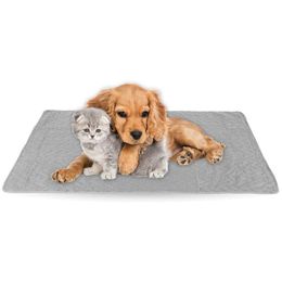 Bestlivings Haustiermatte - 70x100cm ( Grau ) Haustierdecken öko-tex 100 perfekt für Katzen bis große Hunde - s-xl - Steppdecke für Sofa / Bett - Schutz - Grau