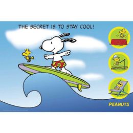 Poster Snoopy Surfing (qf) (The Secret Is To Stay Cool) - PEANUTS