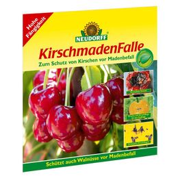 Gärtner Pötschke KirschmadenFalle, Leimfalle, 7 Stück