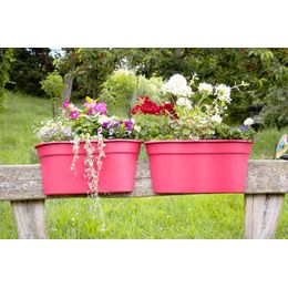 KHW Geländerblumentopf Flowerclip XL, 2er Set, beere