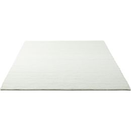 Wollteppich Home Affaire "Pirker" Teppiche Gr. B/L: 90 cm x 160 cm, 12 mm, 1 St., beige (natur weiß) Schurwollteppiche