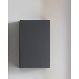 möbelando möbelando Hängeschrank Villach aus MDF in matt grau mit einer Tür und 2 Einlegeböden. Abmessungen (B/H/T) 40x64x20 cm
