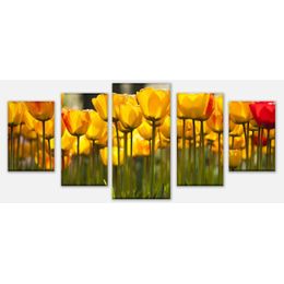 wandmotiv24 Mehrteilige Bilder Tulpen im Garten
