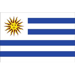 flaggenmeer Flagge Flagge Uruguay 110 g/m² Querformat