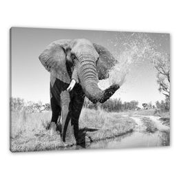 Pixxprint Leinwandbild Elefant spritzt mit Wasser