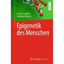 Epigenetik des Menschen - Carsten Carlberg, Ferdinand Molnár, Kartoniert (TB)