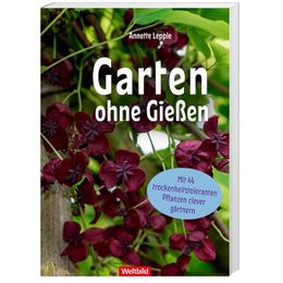 Garten ohne Gießen - Annette Lepple, Hochwertige Broschur