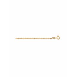Adelia´s Goldkette ADELIA´S "333 Gold Anker Halskette Ø 1,1 mm" Halsketten Gr. 40, Gelbgold 333, goldfarben (gold) Damen Goldketten