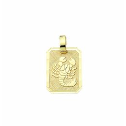 Adelia´s Kette mit Anhänger ADELIA´S "333 Gold Sternzeichen Skorpion" Halsketten Gr. Gelbgold 333, goldfarben (gold) Damen Ketten mit Anhänger