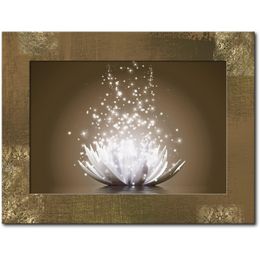 Wandbild Artland "Magie der Lotus-Blume" Bilder Gr. B/H: 80,9 cm x 59,9 cm, Wandbild Blumen, 1 St., braun Kunstdrucke