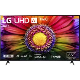 F (A bis G) LG LED-Fernseher "65UR80006LJ" Fernseher schwarz LED Fernseher