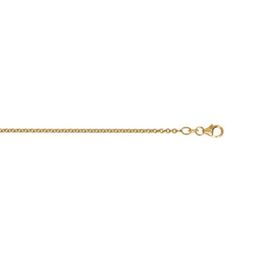 Goldkette ONE ELEMENT "Halskette aus 333 Gelbgold Ø 2 mm" Halsketten Gr. 45, Gelbgold 333, goldfarben (gold) Damen Goldketten