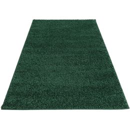 Hochflor-Teppich Home Affaire "Viva" Teppiche Gr. B/L: 240 cm x 320 cm, 45 mm, 1 St., grün (dunkelgrün) Esszimmerteppiche Uni Farben, einfarbig, besonders weich und kuschelig