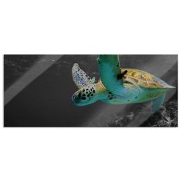 Pixxprint Glasbild Schildkröte über dem Riff