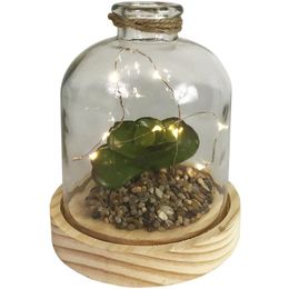 Mojawo - led Glas Flasche mit Holzboden mit Sukkulente -M52034-2