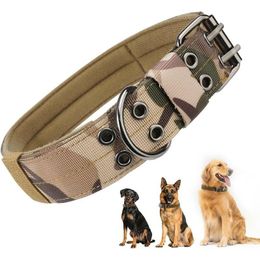Kinsi - Halsband für große Hunde, strapazierfähig, Jagdtraining (53-63 cm)XL