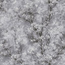 Japanische Kirschblüten Tapete Florale Vliestapete in Hellgrau asiatisch Vlies Frühlingstapete ideal für Schlafzimmer und Küche - Grey, Black, White