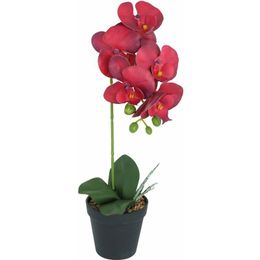 Künstliche Orchidee Rubinrot Lila im Topf Höhe 40 cm Kunstblume Pflanze - Rot