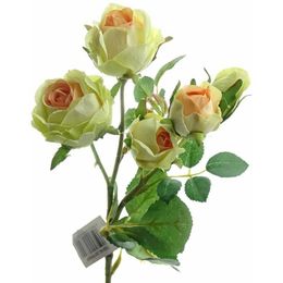 Gasper - Polyanta-Rose Creme & Grün & Apricot 39 cm - Kunstblumen