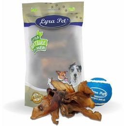 LYRA PET - 100 Stk. ® Rinderohren ca. 3 kg + Tennis Ball