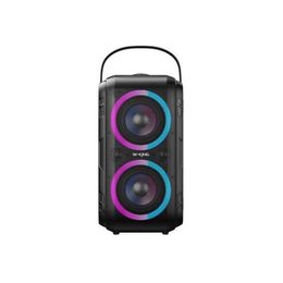 W-KING Wireless Bluetooth Speaker T9-2 80W (black)