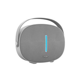 JONSBO Wireless Bluetooth Speaker W-KING T8 30W (silver)