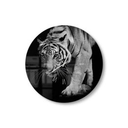 DEQORI Wanduhr 'Pirschender Tiger' (Glas Glasuhr modern Wand Uhr Design Küchenuhr)