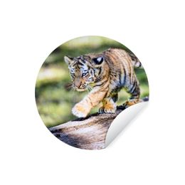 MuchoWow Wandsticker Junger Tiger läuft auf einem Baumstamm (1 St)