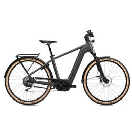 Flyer Gotour 7.12 XC ABS - 28 Zoll 750Wh 10K Diamant - Cold Anthracite