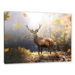 Pixxprint Leinwandbild Hirsch im Wald mit fallenden Blättern