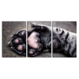 Pixxprint Leinwandbild Katze Haustier Mietz Kätzchen Schmusekatze schnurren Kuscheln Pfote