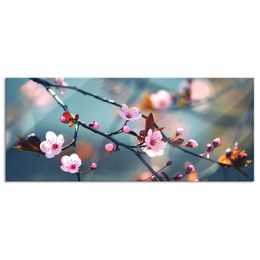 Pixxprint Glasbild Exotische Sakura Blüten