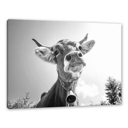 Pixxprint Leinwandbild Portrait einer Kuh