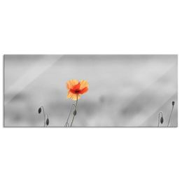 Pixxprint Glasbild Rote Mohnblume im Feld