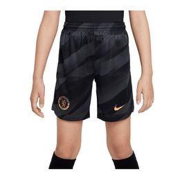 Nike Sporthose FC Chelsea London TW-Short 2023/2024 Kids