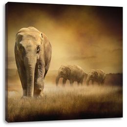 Pixxprint Leinwandbild Prächtiger Elefanten in Steppe