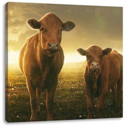Pixxprint Leinwandbild Kuh und Kalb im Sonnenuntergang auf Wiese