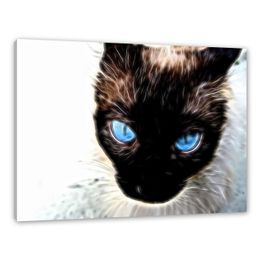 Pixxprint Leinwandbild Schwarze elegante Katze