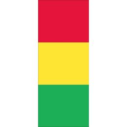 flaggenmeer Flagge Guinea 160 g/m² Hochformat