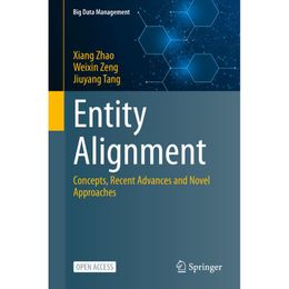 Springer Nature Entity Alignment - Xiang Zhao, Weixin Zeng, Jiuyang Tang, Kartoniert (TB)