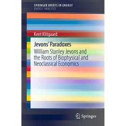 Springer International Publishing Jevons' Paradoxes - Kent Klitgaard, Kartoniert (TB)
