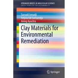 Springer International Publishing Clay Materials for Environmental Remediation - Suryadi Ismadji, Felycia Edi Soetaredjo, Aning Ayucitra, Kartoniert (TB)