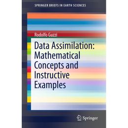 Springer Data Assimilation: Mathematical Concepts and Instructive Examples - Rodolfo Guzzi, Kartoniert (TB)