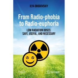 From Radio-phobia to Radio-euphoria - Ilya Obodovskiy, Kartoniert (TB)