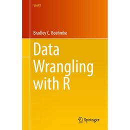 Springer International Publishing Data Wrangling with R - Bradley Boehmke, Kartoniert (TB)