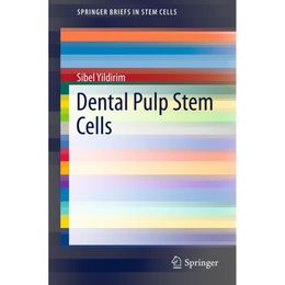 Springer Dental Pulp Stem Cells - Sibel Yildirim, Kartoniert (TB)