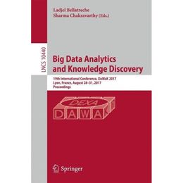Springer Big Data Analytics and Knowledge Discovery, Kartoniert (TB)